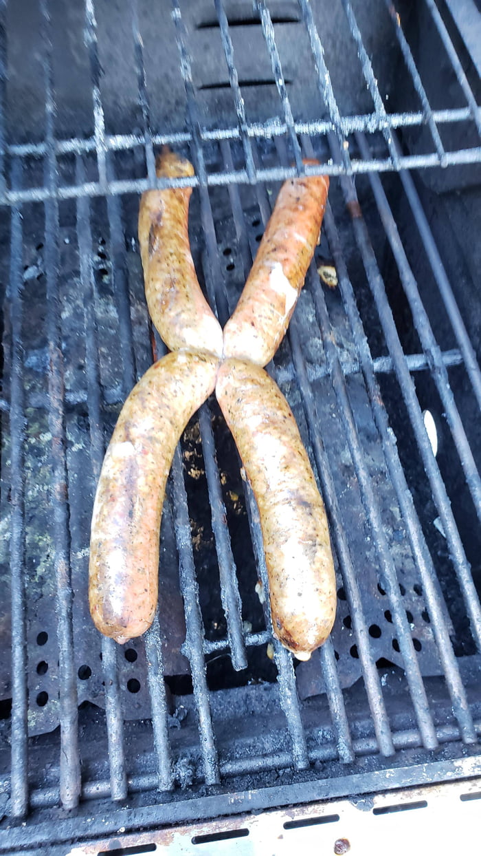 Hermann Paul August Otto Henking discovers X chromosome (circa 1891) - 9GAG