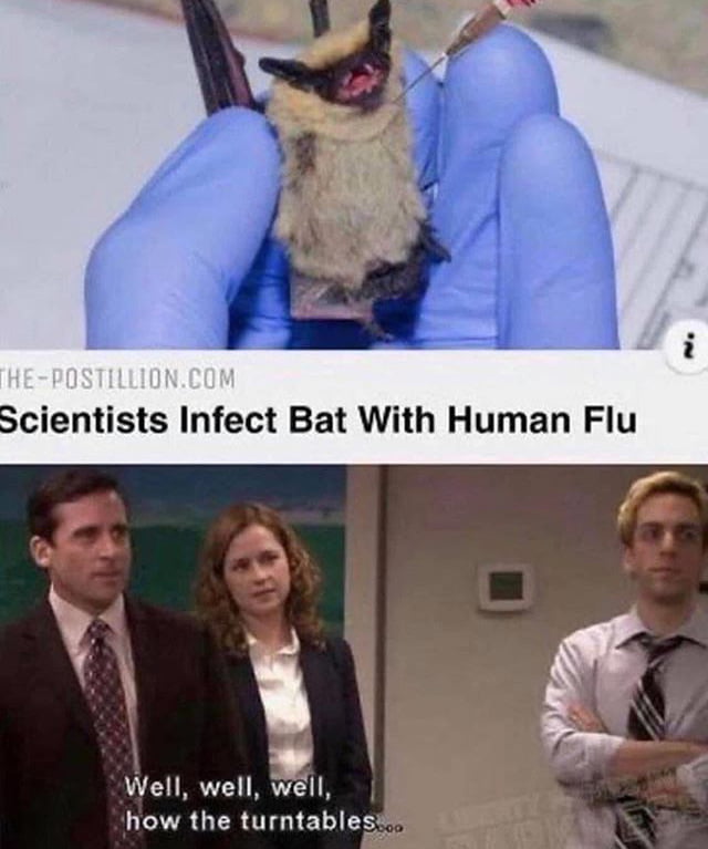 You get what you f**kin deserve bat - 9GAG