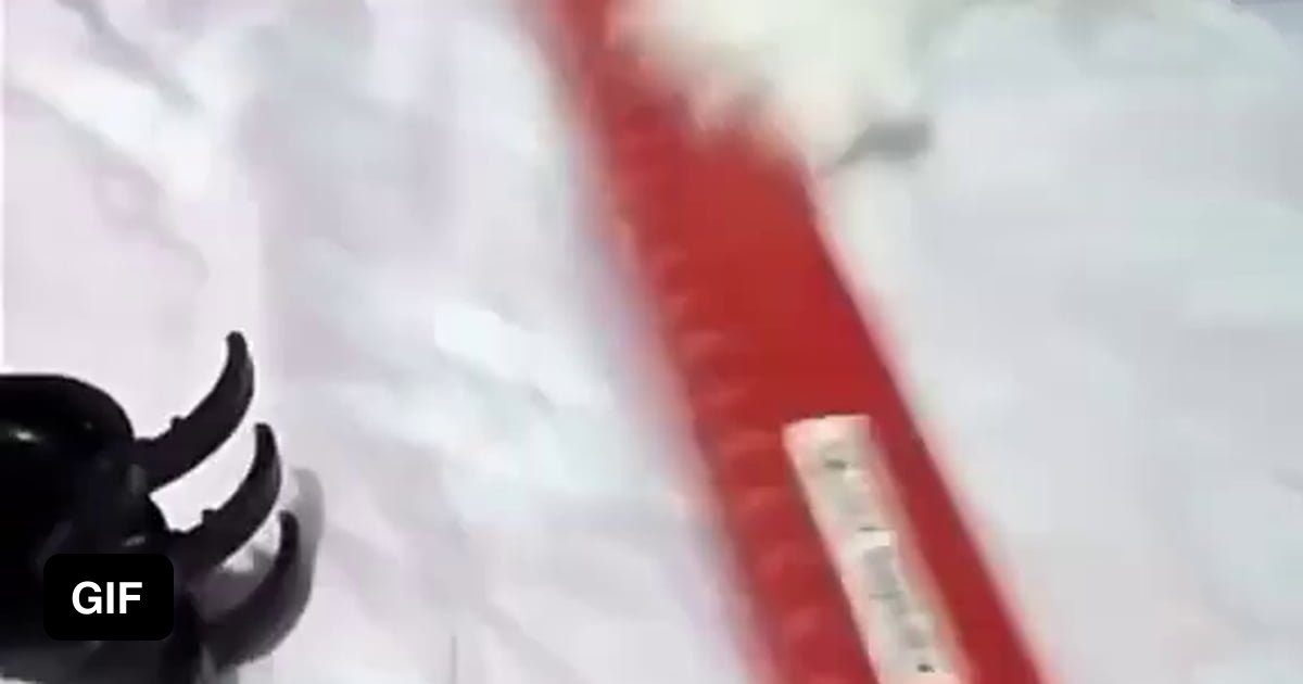 Overly Dramatic Cat - 9GAG