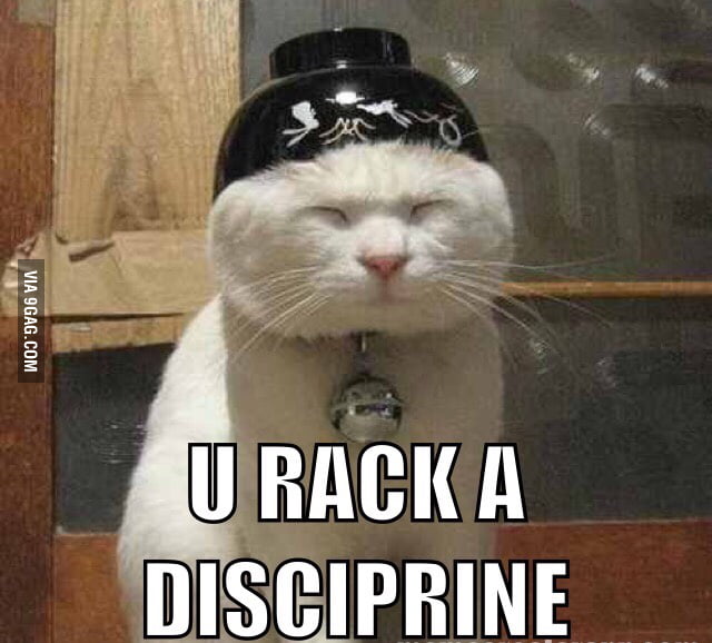 General Tso's kitten says - 9GAG