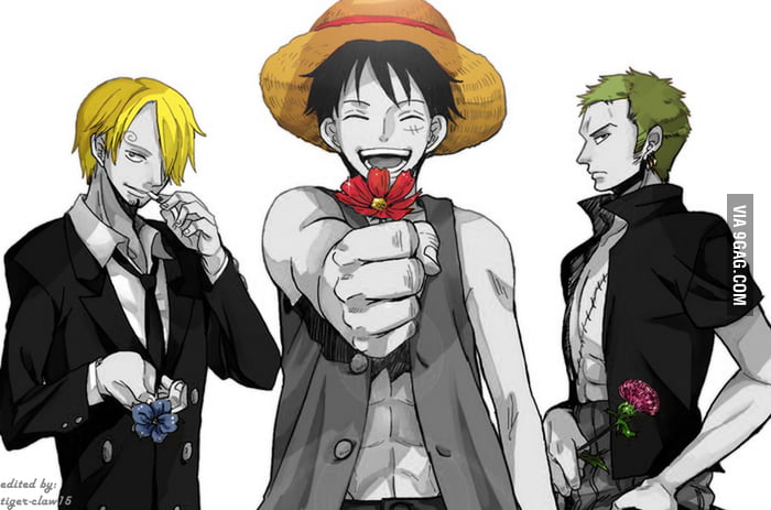 One piece is love, one piece is life - 9GAG