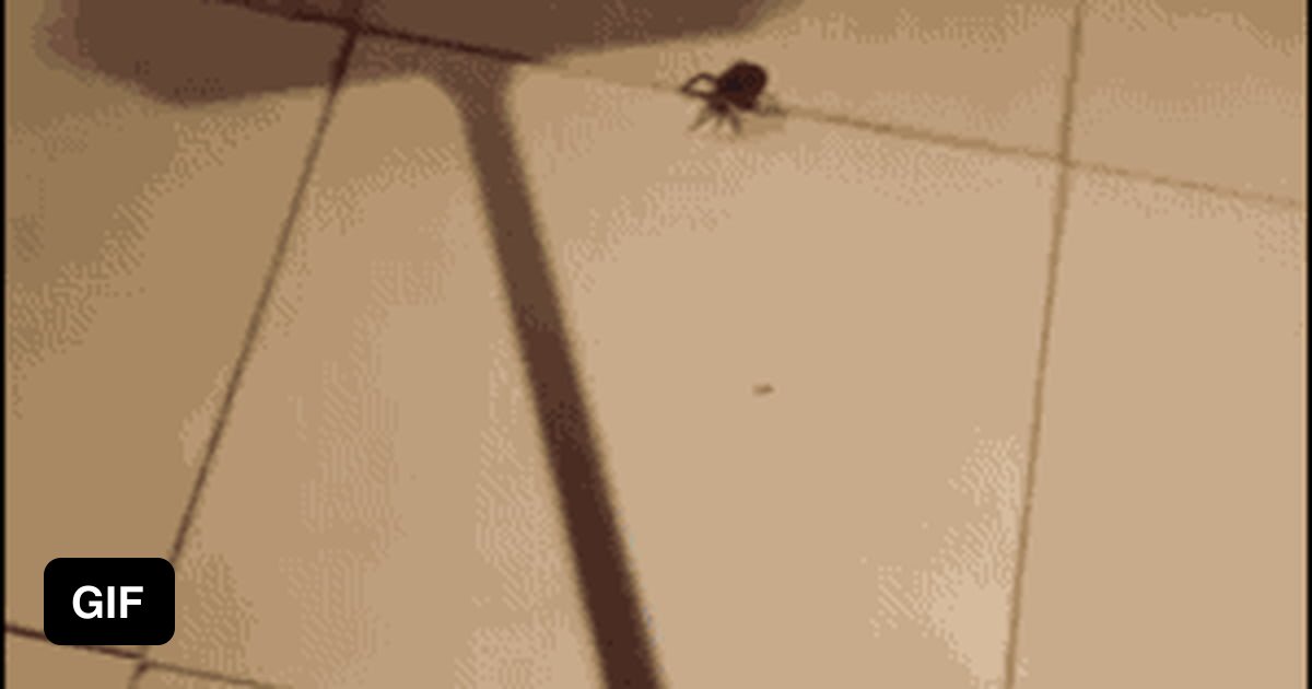 The only appropriate response to all that nope. - 9GAG