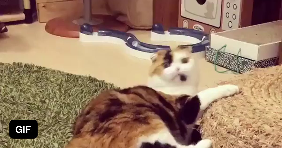 Nip, not even once. - 9GAG