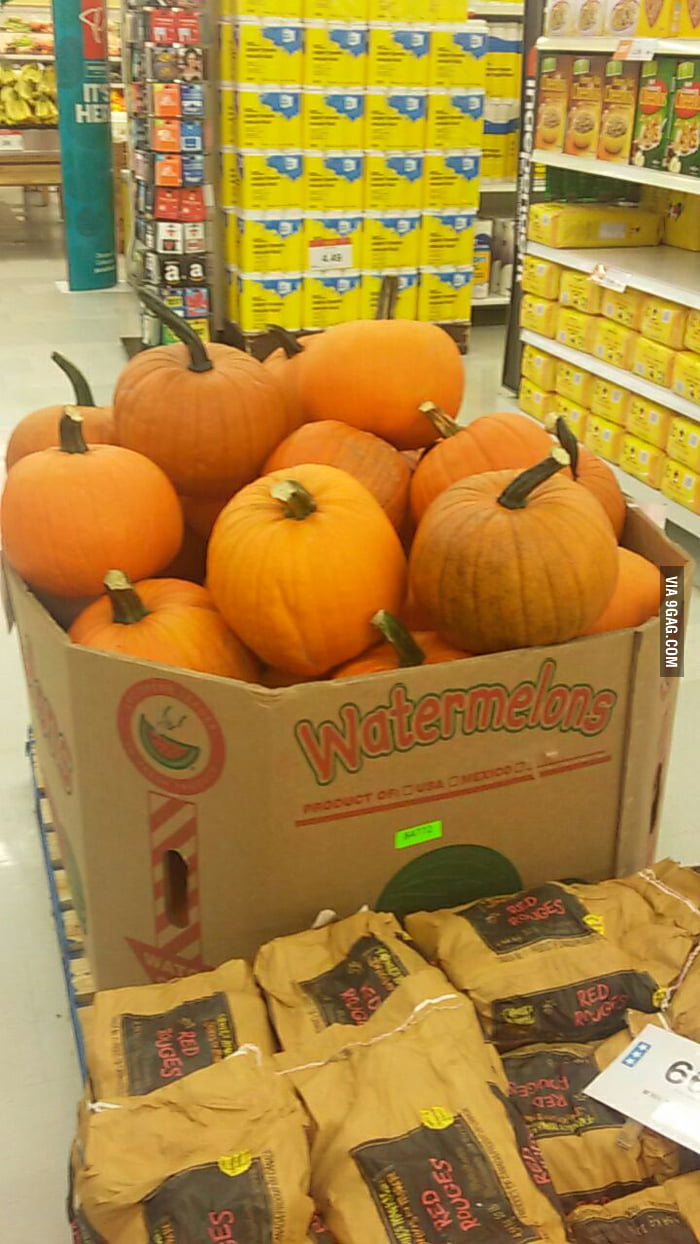 Weirdest watermelon I've ever seen - 9GAG