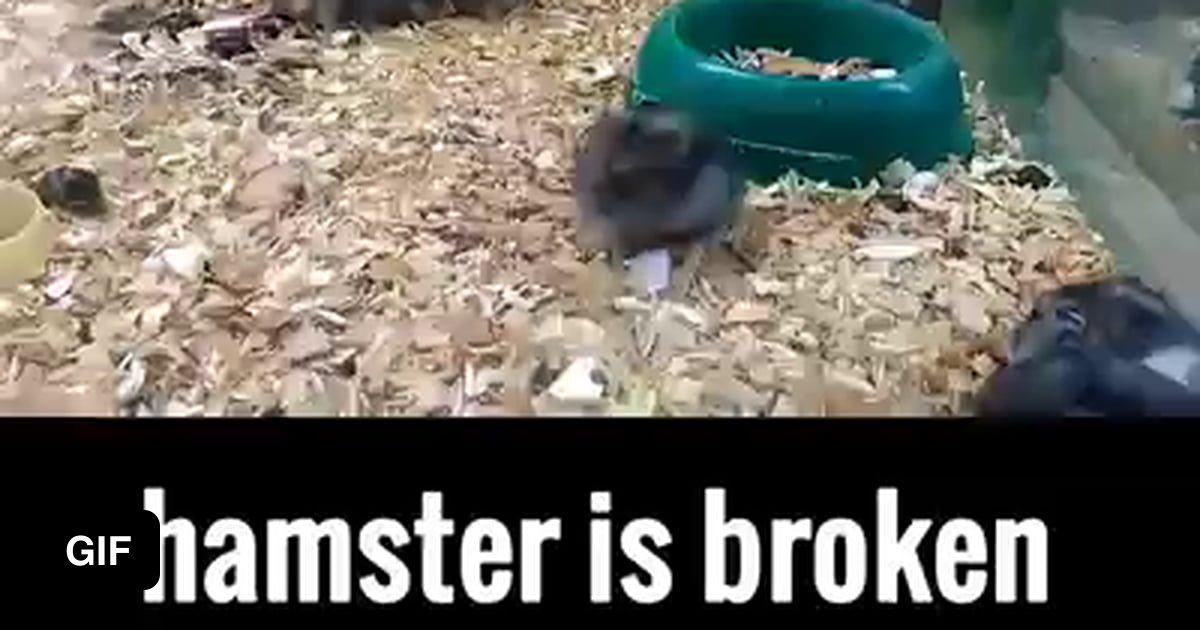 Practicing backflip - 9GAG