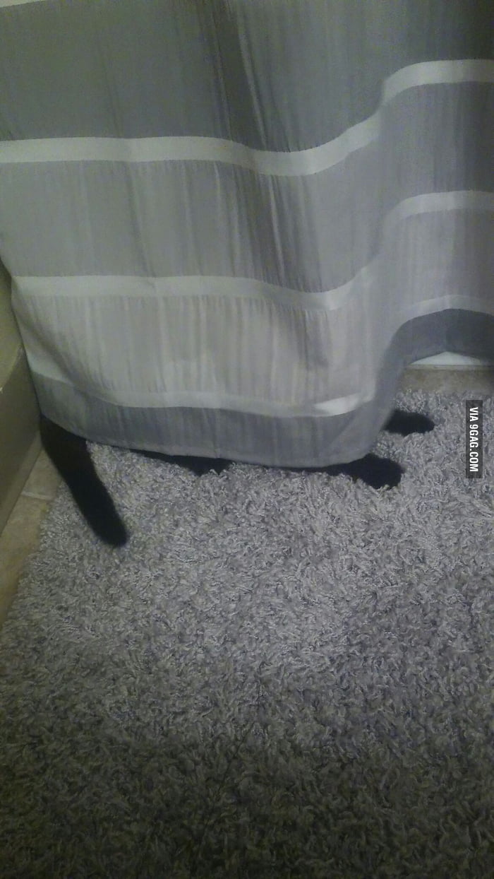 Stealth level: not so expert. - 9GAG