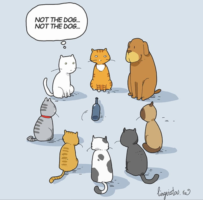 NOT THE DOG... - 9GAG