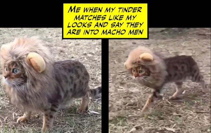 Macho not so macho - 9GAG