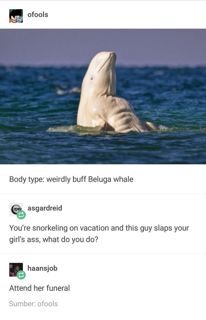 Buff whale - 9GAG