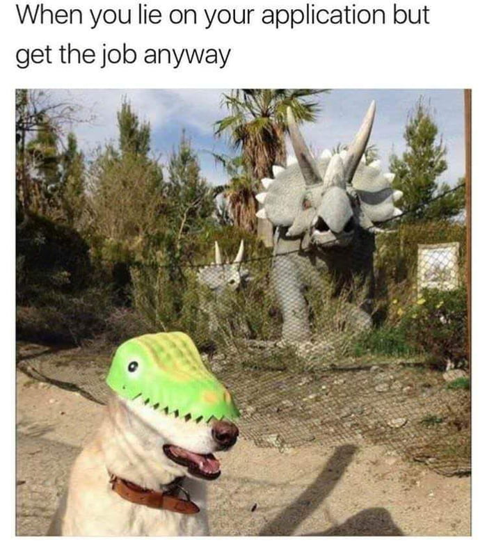 It's a bad doggo! - 9GAG