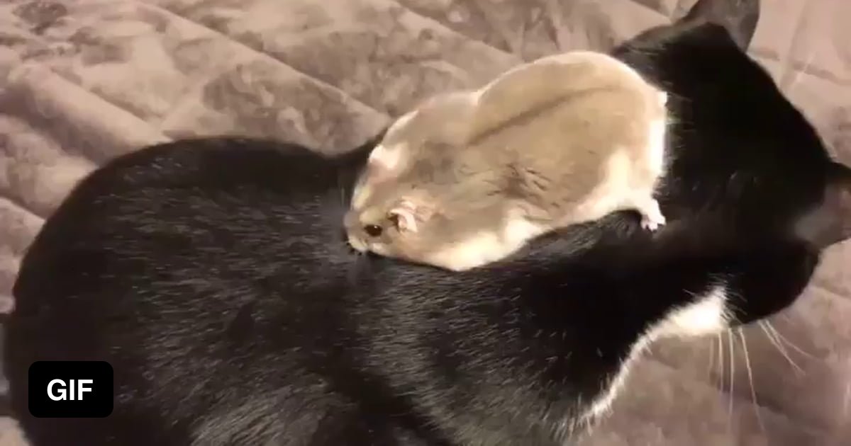 Weeeeeeeeeeeeeeeeeeeeee - 9GAG