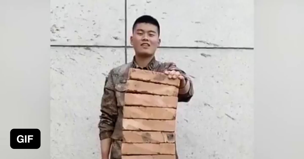 14 bricks, 1 chop - 9GAG