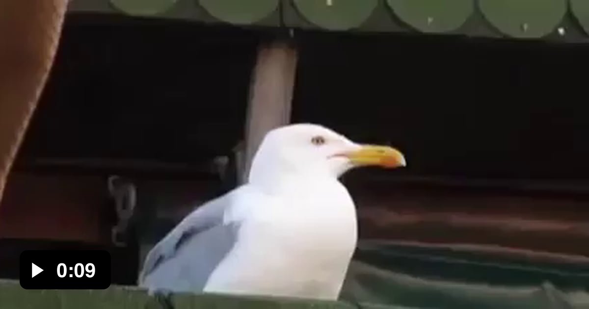 The original video of 'inhale boi' - 9GAG