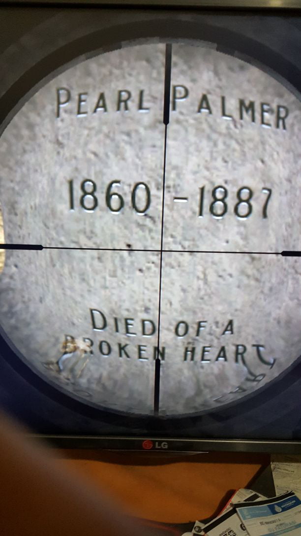 You can die because of broken heart in Red Dead Redemption. R.I.P Pearl ...