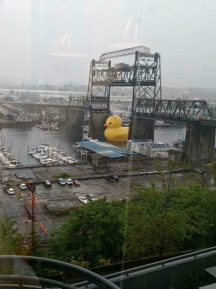 They open the bridge up for this giant duck that goes to a boat show ...