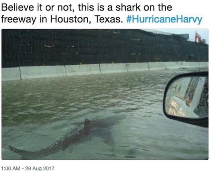 Sharknado is real?! - 9GAG