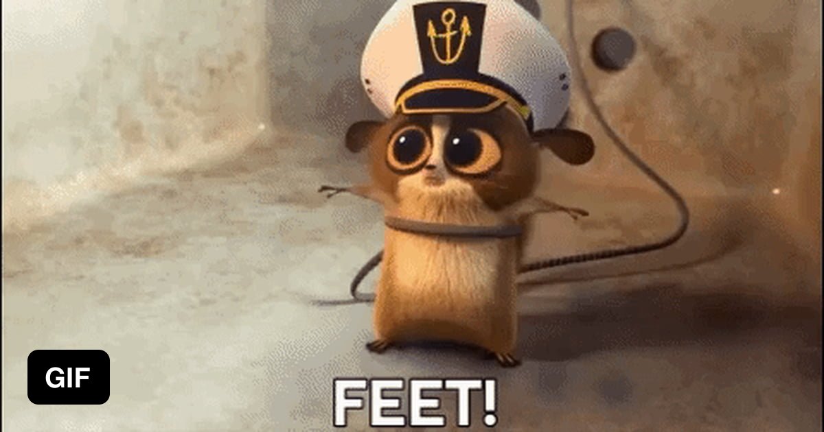 Mort crazy for feet - 9GAG