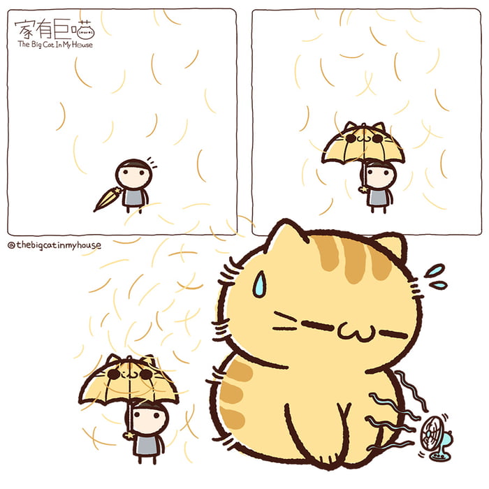 Remember to bring rain gear when going out in case of sudden"attack"of ...