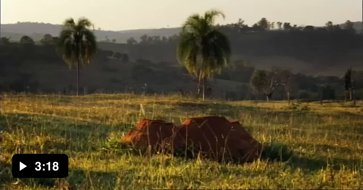 This is what an ancient megalopolis of ants look like. - 9GAG