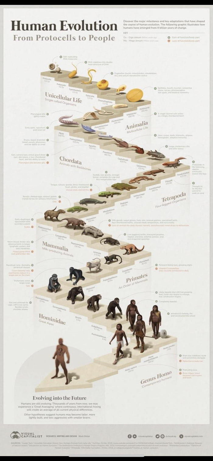 4 billion years of human evolution - 9GAG