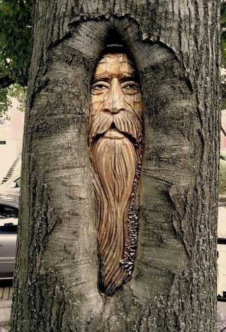 Old tree - 9GAG