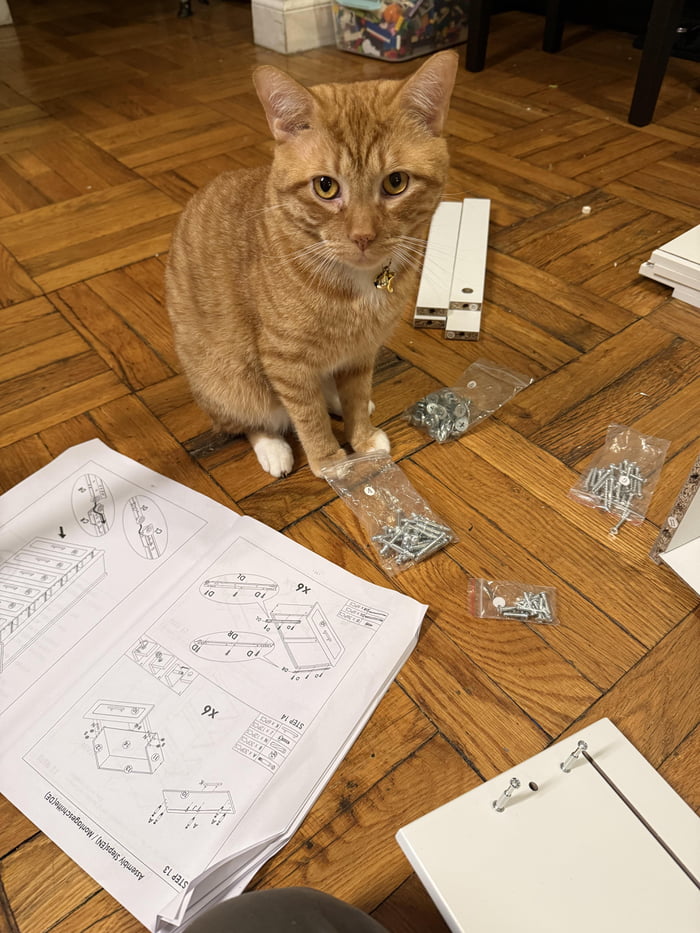 Furniture builder - 9GAG