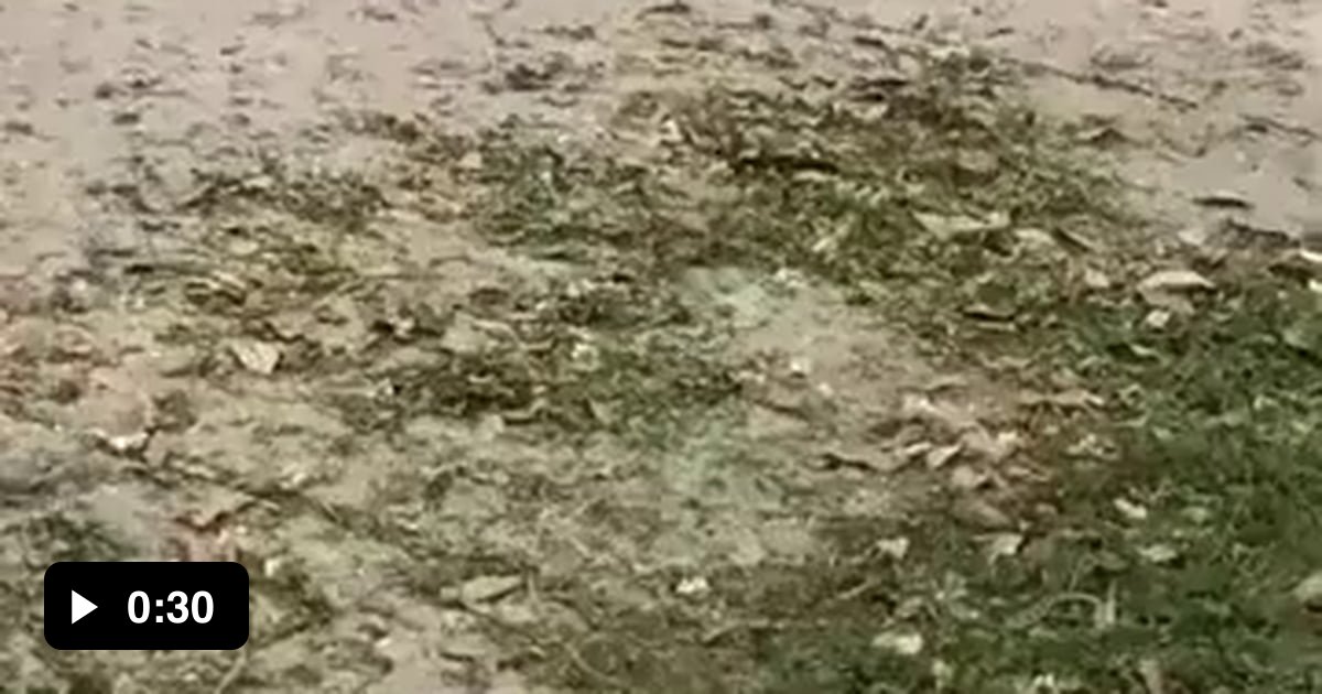 Cop caught planting evidence red handed - 9GAG