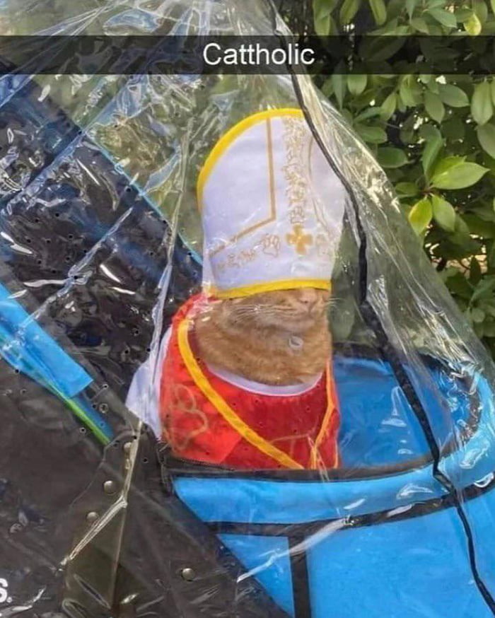 Cat: The Pope - 9GAG