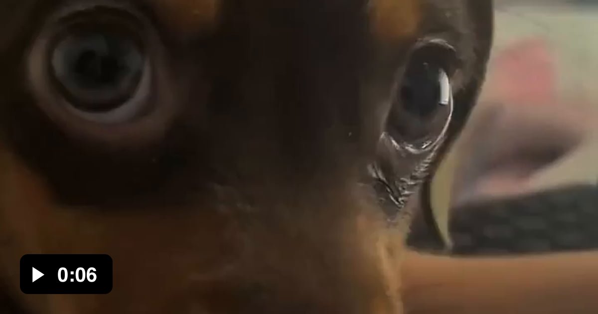 Aah, what does she need!? - 9GAG