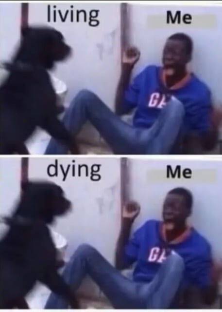 Decisions decisions... - 9GAG