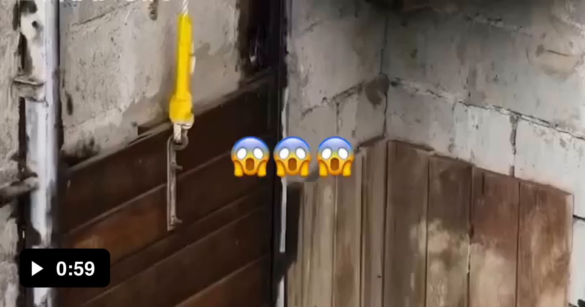 They Are Skilled 9gag