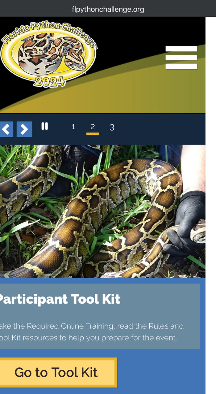 Florida man caught 20 pythons in the Florida Python challenge - 9GAG