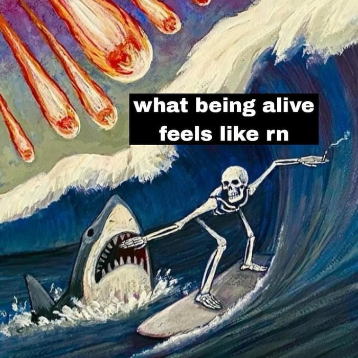 Explains it better than words ever could. - 9GAG