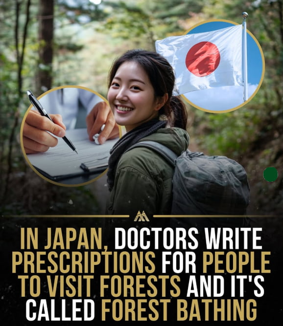 Forest immersion heals - 9GAG