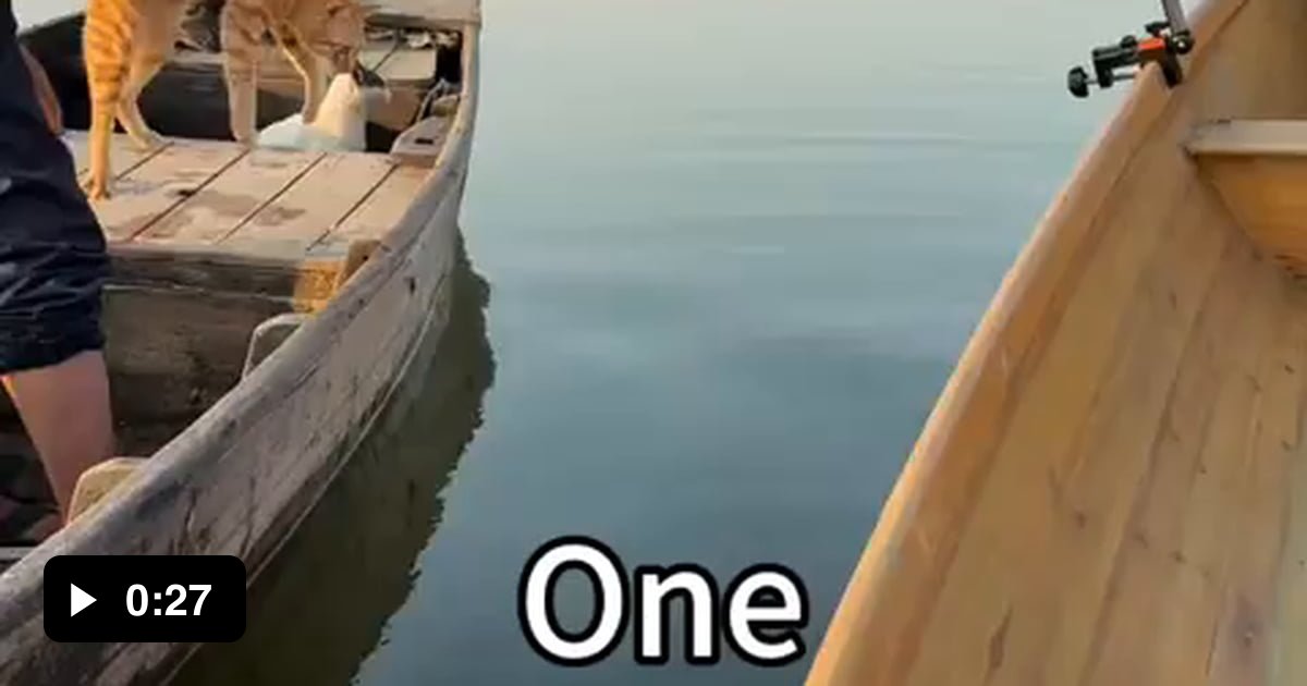 Touchy Da Fishy ultimate edition... - 9GAG