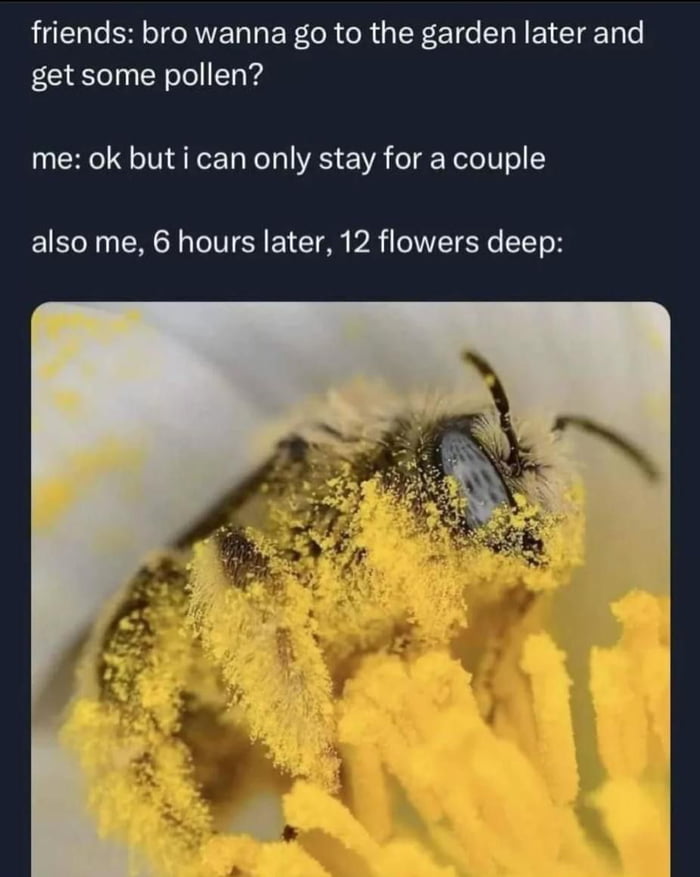 Bee yourself - 9GAG