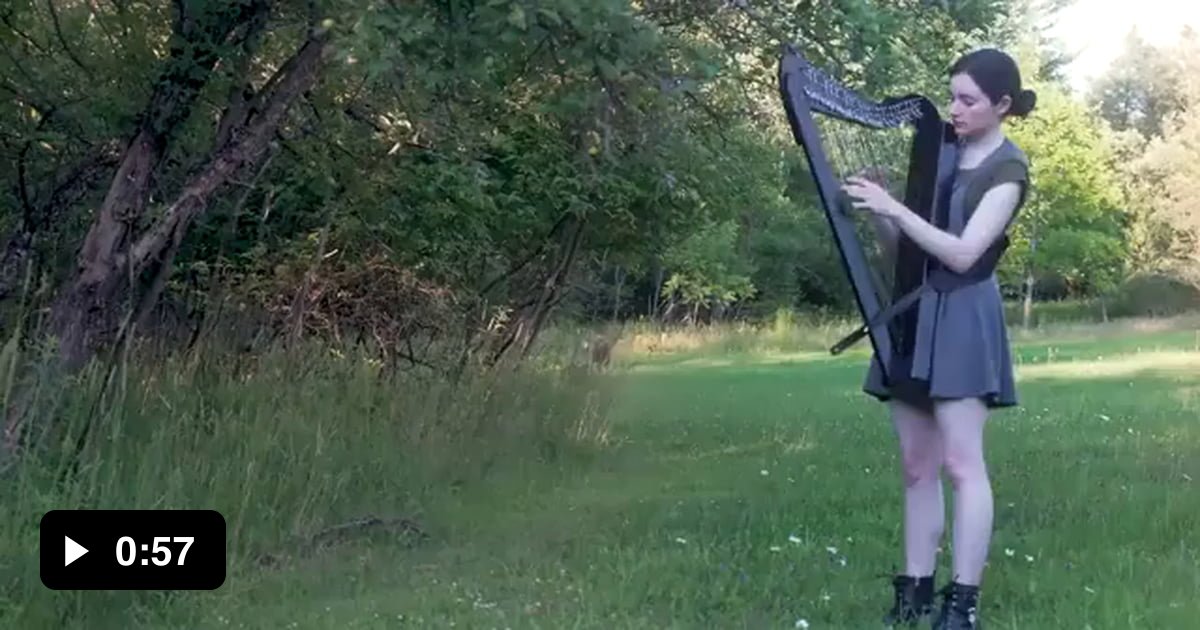 Zoomusicology studies the musical aspects of sound as produced and ...