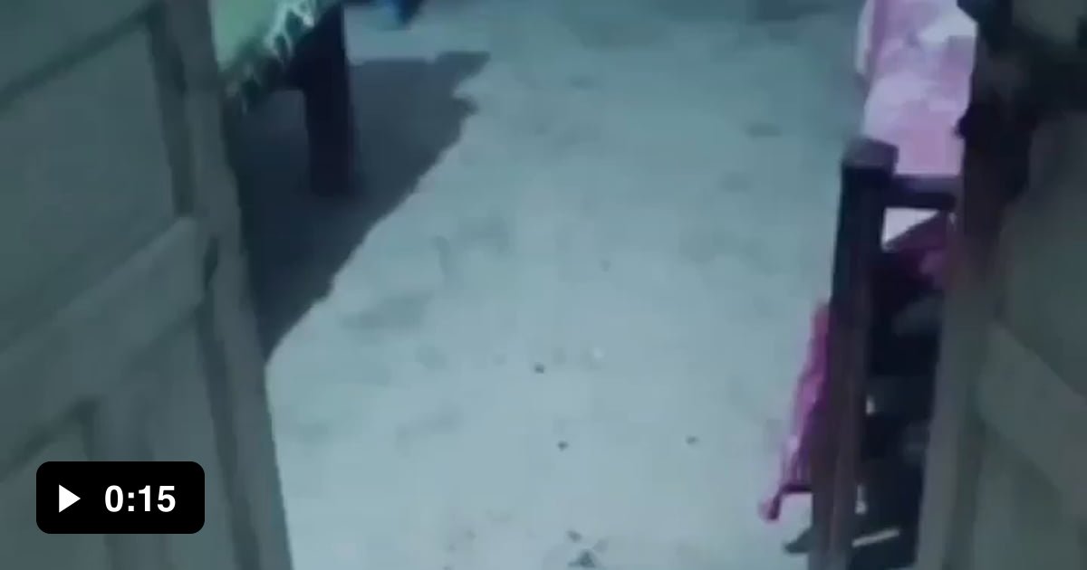 Unexpected surprise - 9GAG