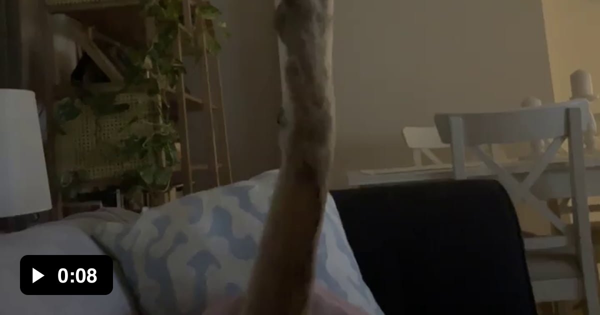 Just doggo dream shenanigans - 9GAG