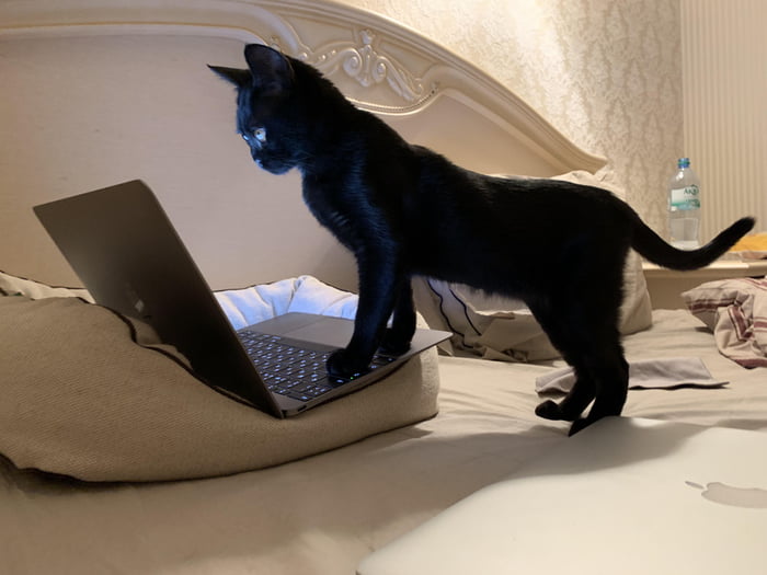 Junior hacker - 9GAG