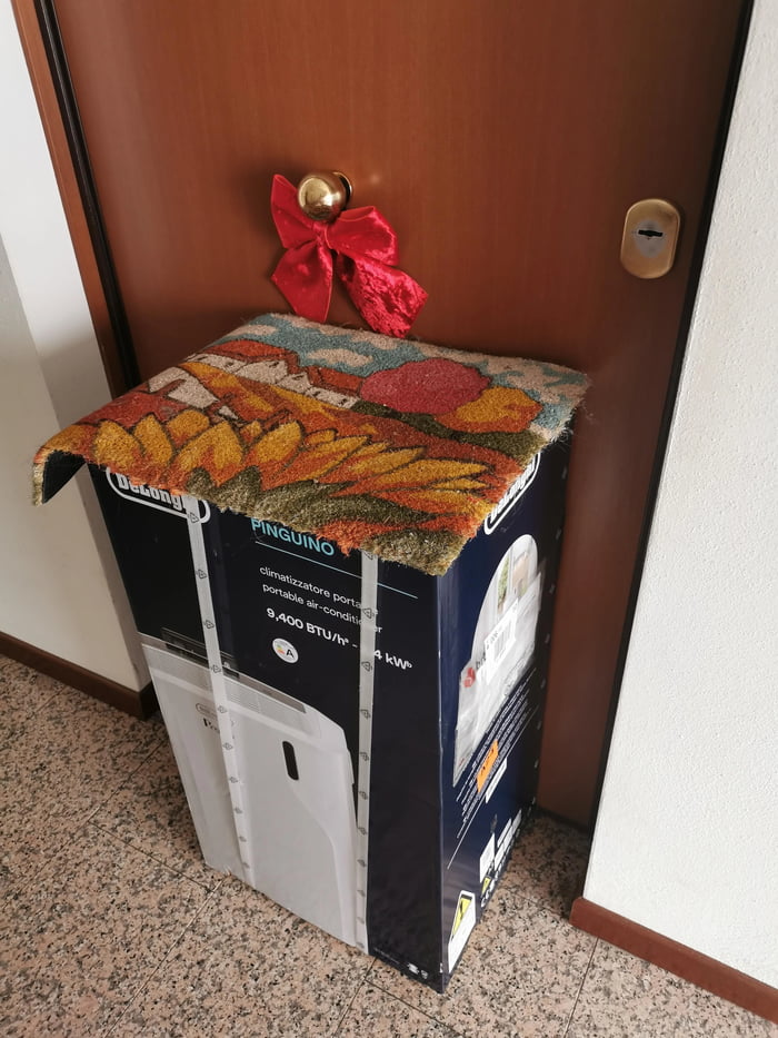 Thanks to the Amazon delivery guy for hiding my package under the ...