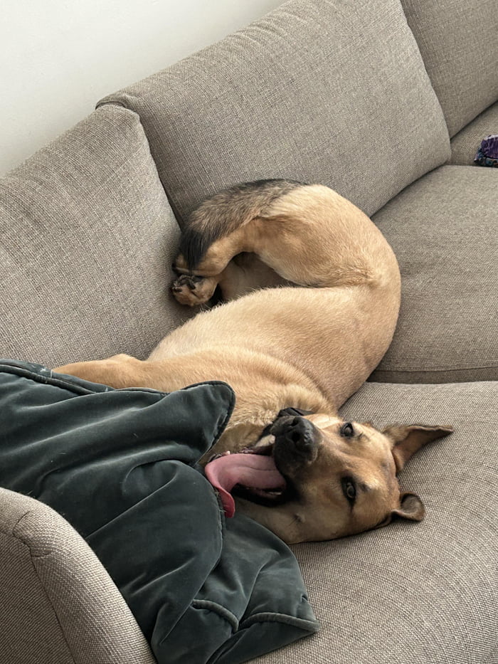 Smooth brain mode - 9GAG