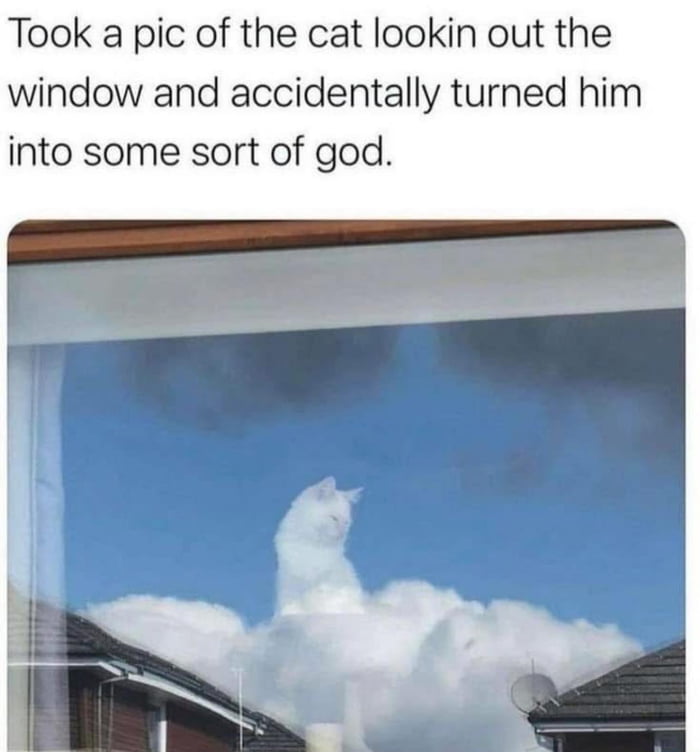 Cloud Cat, the Ascended One - 9GAG