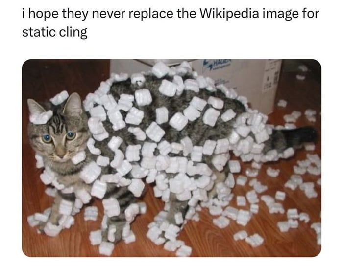 The purr-fect example of static cling, this cat is attracting all the ...