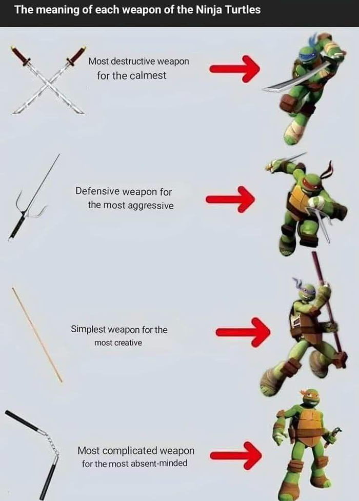 Weapon choice says a lot about a ninja turtle - 9GAG