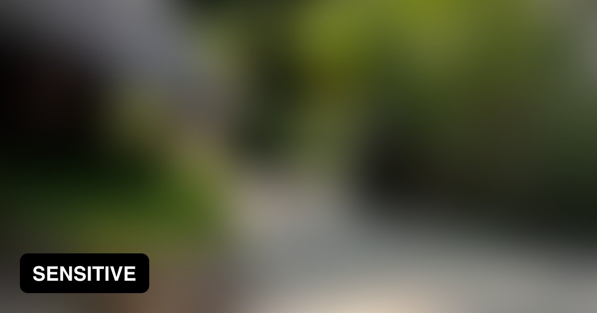 Friendly neighborhood hog - 9GAG