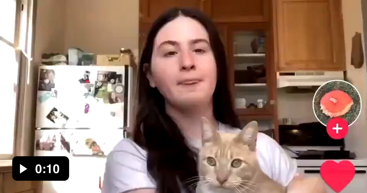 Cat: no one asked, b - 9GAG