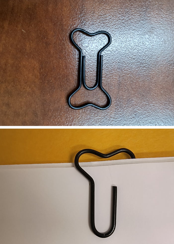 That bone paper clip looks completely different when it's actually ...