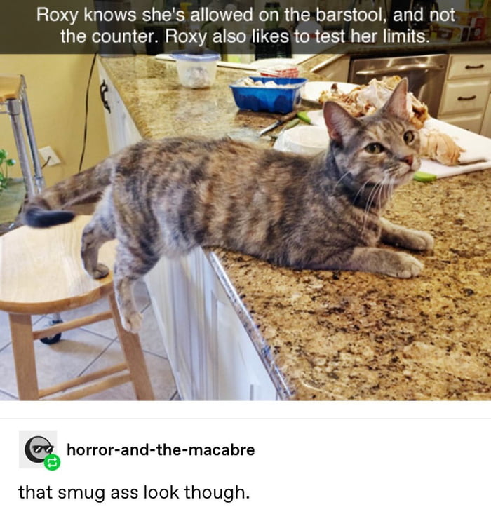 Roxy gives 0 fks - 9GAG
