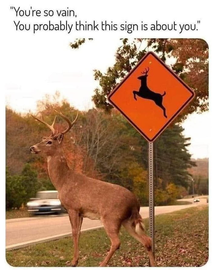 This sign is definitely about me - 9GAG